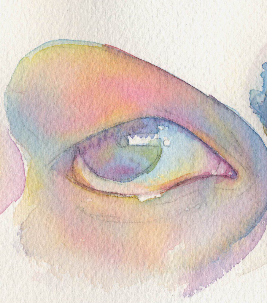 Painting an eye | Jeannie Vodden Art